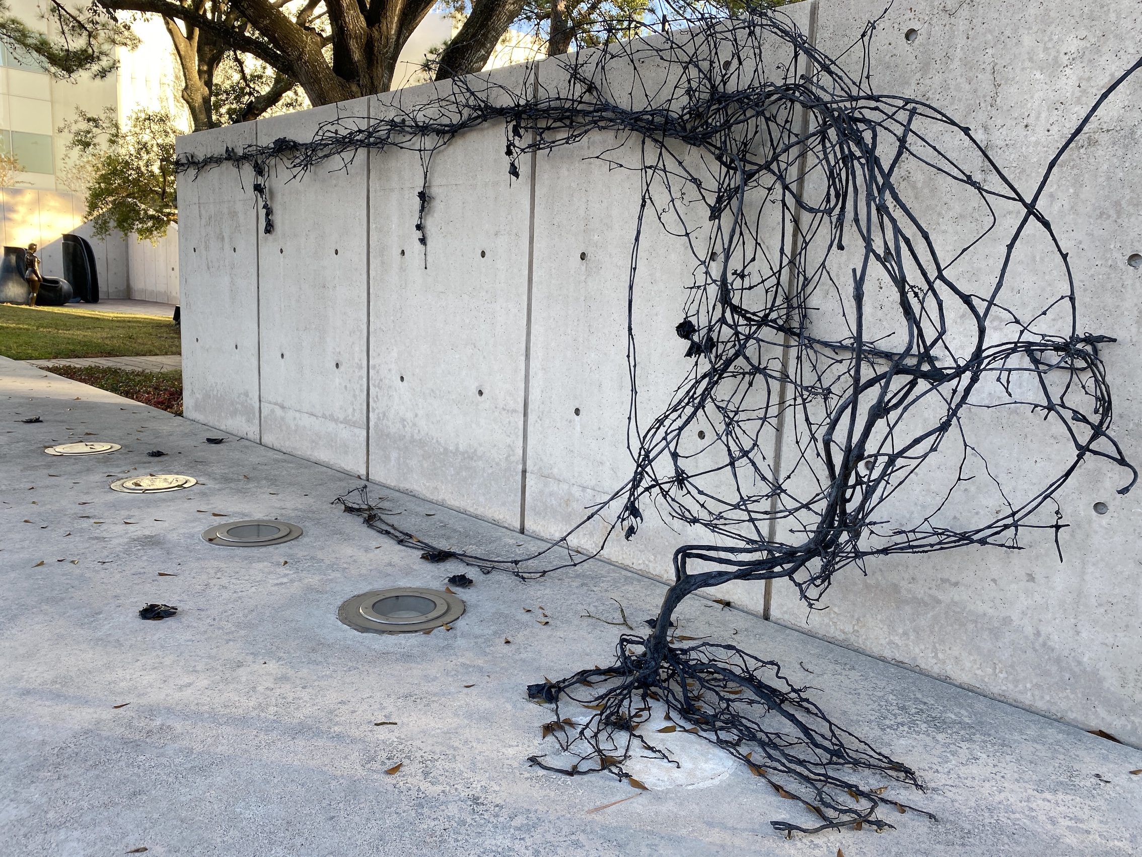 Cullen – Claude Yacoub